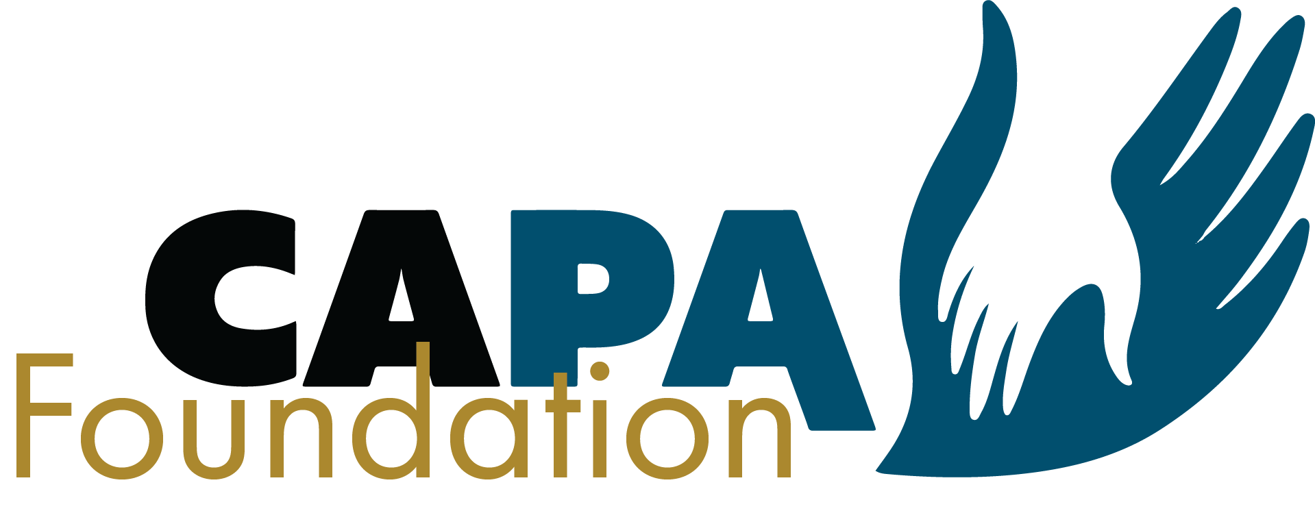 CAPA Announces 2024 Student Scholarship Award Recipients - California Academy of Physician ...